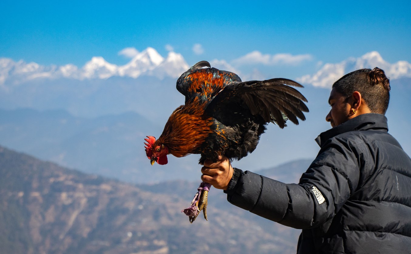 Bhotechaur Image Gallery - Heaven Hill Resort Bhotechaur, Jarsing Pauwa